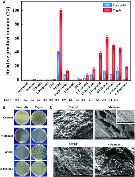 Biocatalytic Efficiency And Cell Viability Of Free Cells And C Gels In