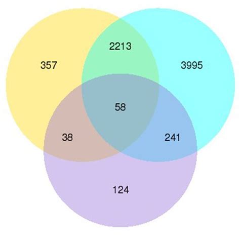 Degs Comparative Statistics Venn Diagram Illustrating The Shared And