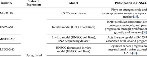 Overview Of Lncrnas In The Hnscc Tumor Microenvironment Download