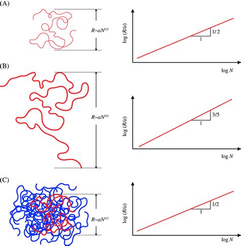 Ideal And Swollen Polymer Download Scientific Diagram