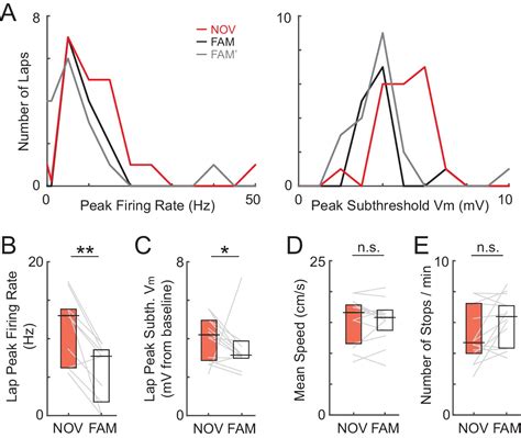 Figures And Data In Experience Dependent Shaping Of Hippocampal CA Intracellular Activity In