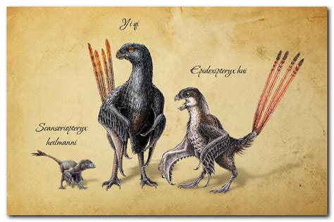 Scansoriopterygidae By Fossil1991 On Deviantart