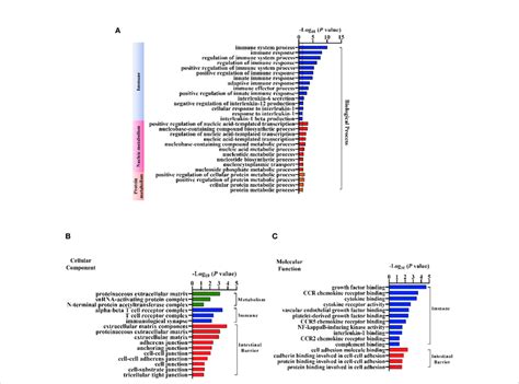 Gene Ontology Go Analysis Of The Differentially Expressed Mrnas In