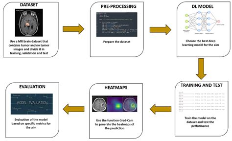 Sensors Free Full Text Explainable Convolutional Neural Networks For Brain Cancer Detection