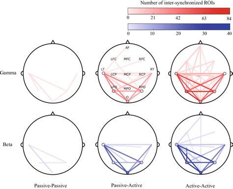 Topographical Representations Of Between Participants Download