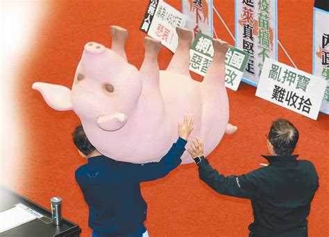 未捍衛國人權益 要政府何用 生活新聞 中國時報