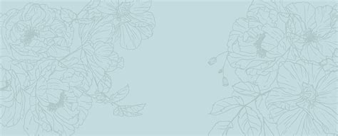 Wide Local Excision Lumpectomy — The Breast Care Centre Breast Cancer