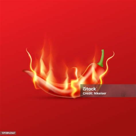 붉은 배경에 불꽃과 빨간 뜨거운 칠리 페퍼 뜨겁고 매운 음식 일러스트레이션 벡터 일러스트레이션 고춧가루에 대한 스톡 벡터 아트 및 기타 이미지 Istock