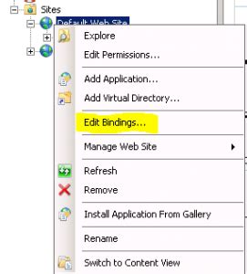 Configure Additional Bindings In IIS So Websites Answer To Different Names Virtualization