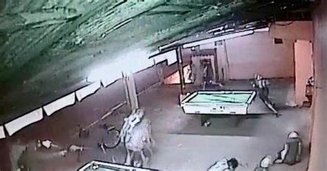 VÍdeo Identificadas Vítimas De Ataque A Tiros Que Deixou Dois