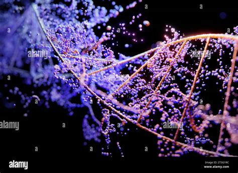 Chromosome Spiral Strand Of Dna Helix With Blue Neon Light Particles3d
