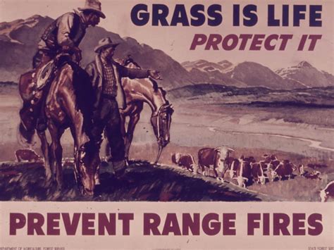 Vintage Poster Grass Is Life Protect It Prevent Range