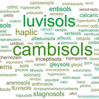Word Cloud Of Soil Types Considered In Satellite Derived Soc Published