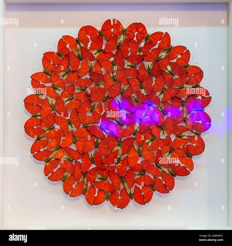 A Thing Of Beauty Anna Tas Sa Bassa Blanca Museum Msbb Yannick Vu