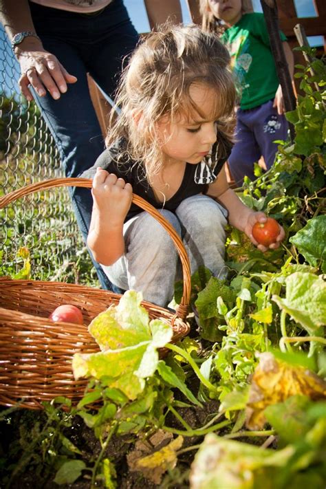 Детска градина Палави Крачета