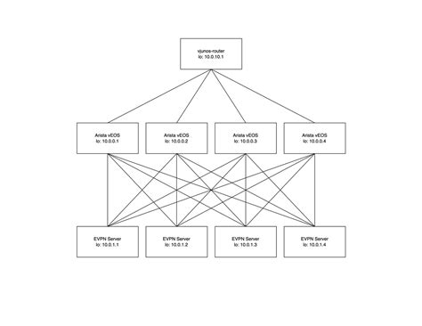 Vjunos Router And Switch Ip Traffic Tofrom Loopback Routing