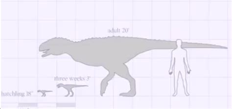 Dragonfly Size By Dracotyrannus On Deviantart