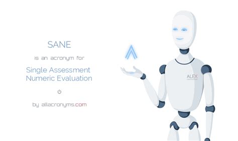 Sane Single Assessment Numeric Evaluation