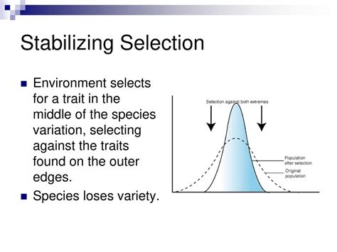Evolution And Biodiversity Ppt Download