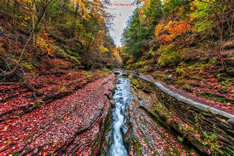 Watkins Glen State Park Guide — Camping Waterfalls 2024
