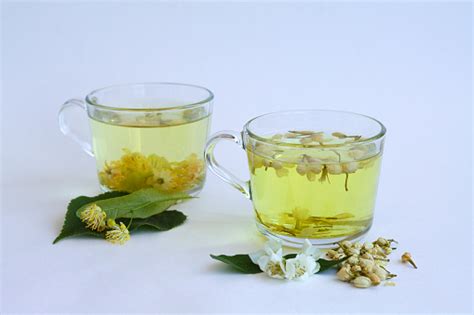 흰 배경에 고립 된 자스민의 꽃이 있는 린덴 꽃의 허브 핫 재스민 차와 차를 곁들인 두 잔 테이블에 녹색 잎이있는 머그잔에 건강한 음료 0명에 대한 스톡 사진 및 기타