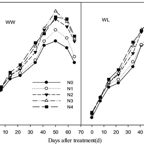Leaf Area Index Lai Of Maize As Affected By Nitrogen N Fertilizer