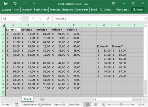 Excel Sneltoetsen Selecties Pascal Ter Heege