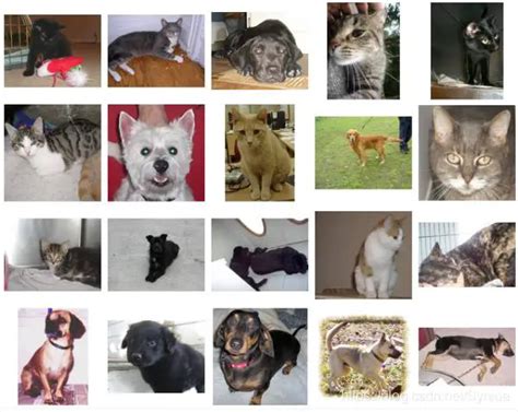 Keras Implementation Of Resnet Residual Networks Architecture From
