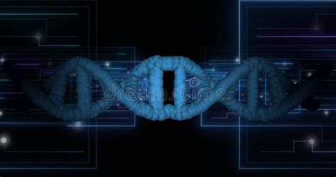 Dna Strand And Binary Coding Scientific Data Processing Image Stock