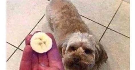 Phone Clearing Dump I Never Delete Anything Album On Imgur