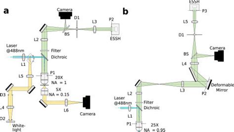 Schematic Of The Set Up A Aberration Measurement Set Up L1 6 Download Scientific Diagram