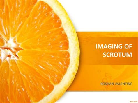 Scrotum Imaging Ppt