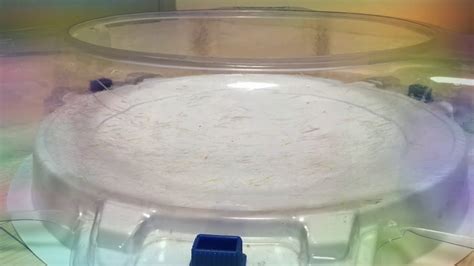 슈퍼 하이페리온 Vs 월드 스프리건 Youtube