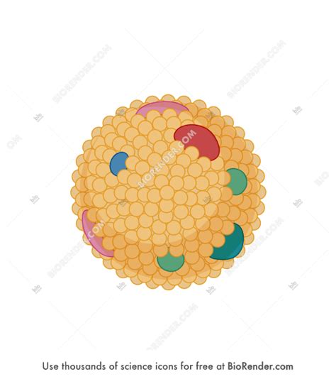 Free Lipoprotein HDL Icons Symbols Images BioRender