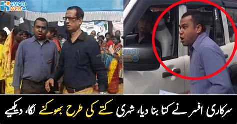 World News By Hamariweb شناختی کارڈ میں نام کی جگہ کتا لکھ دیا