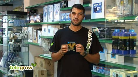 Trichoderma Harzianum I502 Youtube