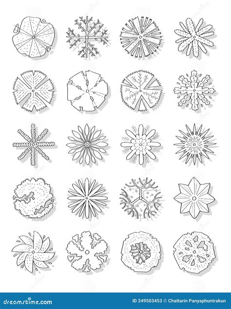 顶部视图树的手绘矢量集 库存例证 插画 包括有 视图 例证 图标 降低 装饰 向量 顶层 249503453