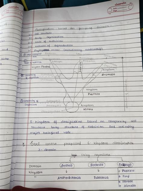 Is This Normal To Take Mobile In Class 11 Dav R Cbse