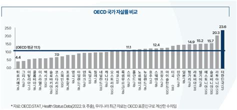 노컷뉴스