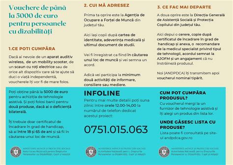 Facilitarea inserției pe piața muncii a persoanelor cu dizabilități