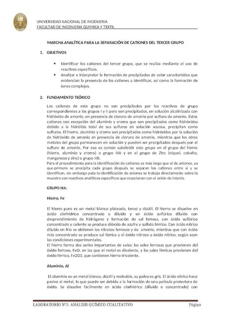 DOCX LABO N5 Analisis Cualitativo DOKUMEN TIPS