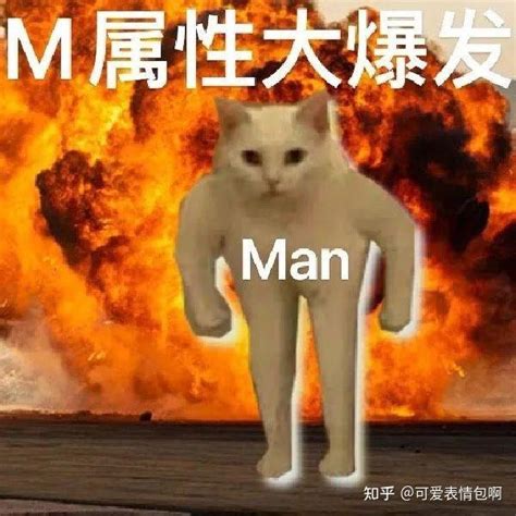 S属性大爆发┃近期热门表情包 知乎
