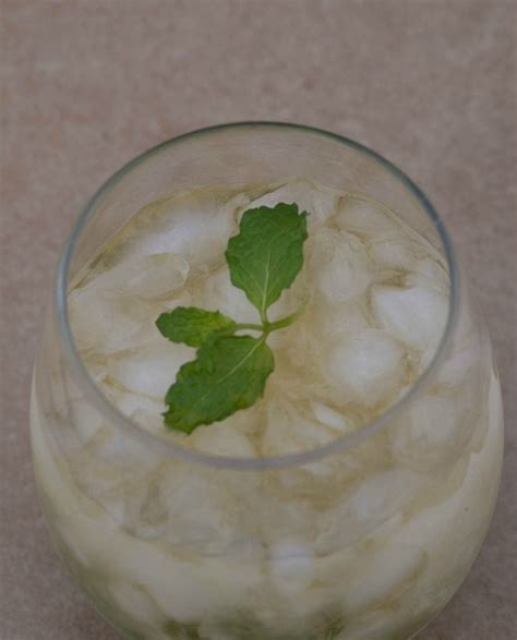 Ginger Mint Julep Recipe Upstate Ramblings