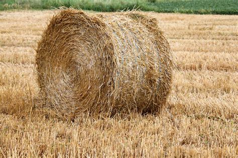 200 Free Haystacks Hay Images Pixabay