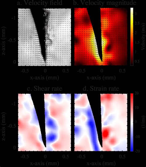 A Velocity Vector Field Distribution Overlapped To An Exemplary Hs