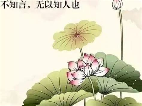 孟子的智慧 知乎