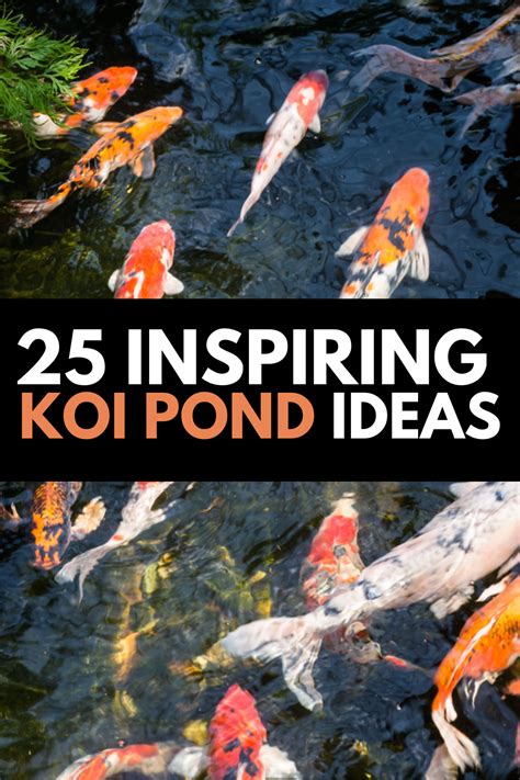 25 Inspiring Koi Pond Ideas For Your Backyard 2025 Own The Yard Koi