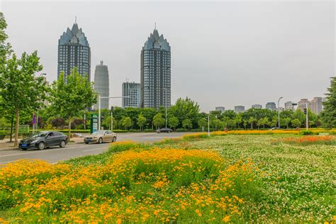 郑东新区cbd 想不爱你有点难