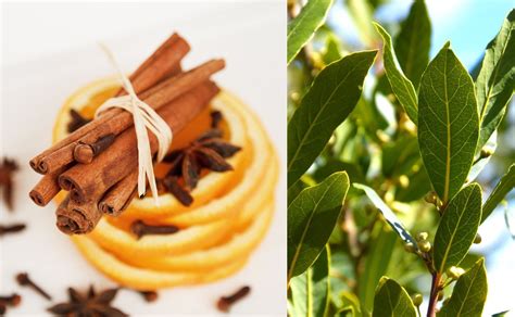 Té De Canela Y Laurel Una Infusión Efectiva Para Adelgazar