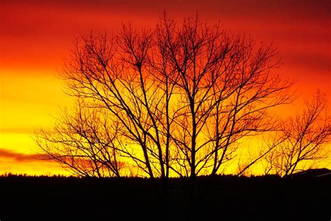 Sunset Evening Atmosphere Free Photo On Pixabay Pixabay